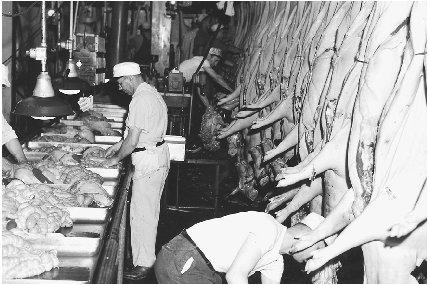 Upton Sinclair eText - Primary Source - eNotes.com